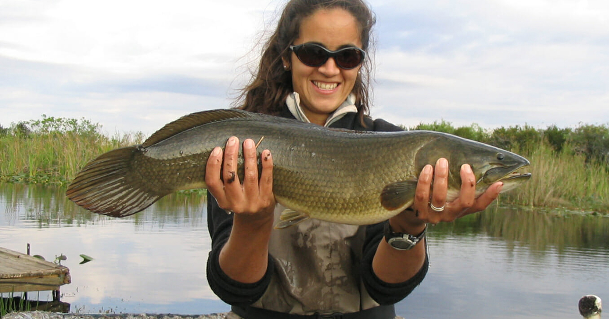 Bowfin Fishing Tips: Catch A Living Dinosaur!