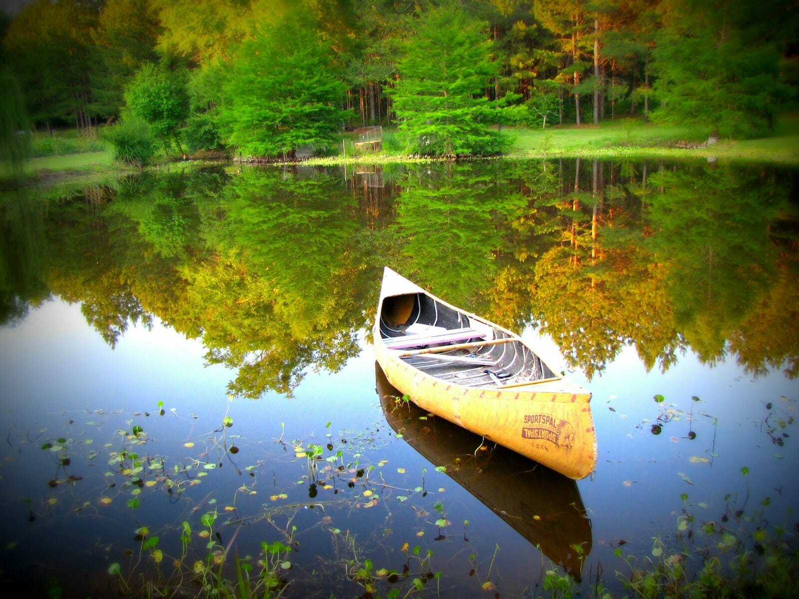 Canoeing | The Coastal Side